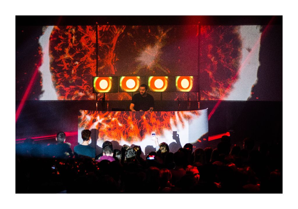 Fritz 1 - DavyCroket